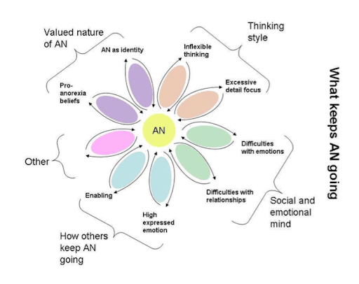 What is MANTRA (Maudsley Model of Anorexia Nervosa Treatment for Adults ...